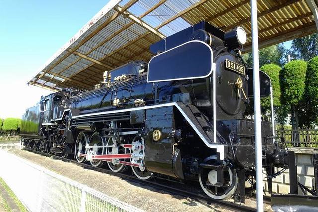 D51 405：松戸市ユーカリ交通公園: コバQのデジカメ歩き