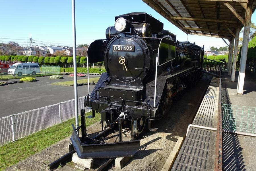 D51 405：松戸市ユーカリ交通公園: コバQのデジカメ歩き