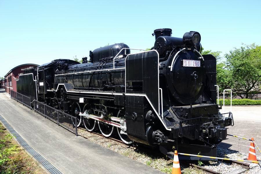 D51 260：東福寺野自然公園 SLハウス: コバQのデジカメ歩き