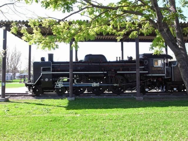 C57144・D5147：岩見沢市みなみ公園: コバQのデジカメ歩き