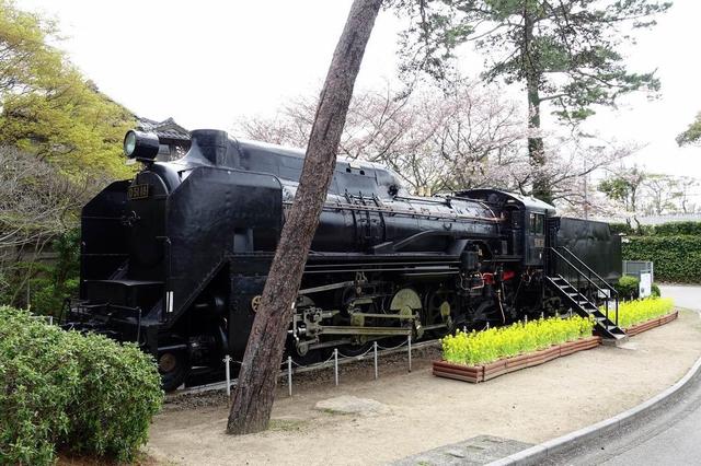 D51 18：宇部市ときわ公園: コバQのデジカメ歩き