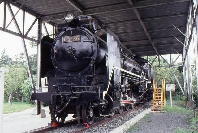 D51 86：はままつ フラワーパーク: コバQのデジカメ歩き