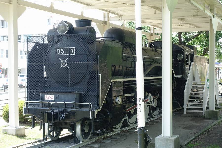 D51 113：三沢市中央公園: コバQのデジカメ歩き