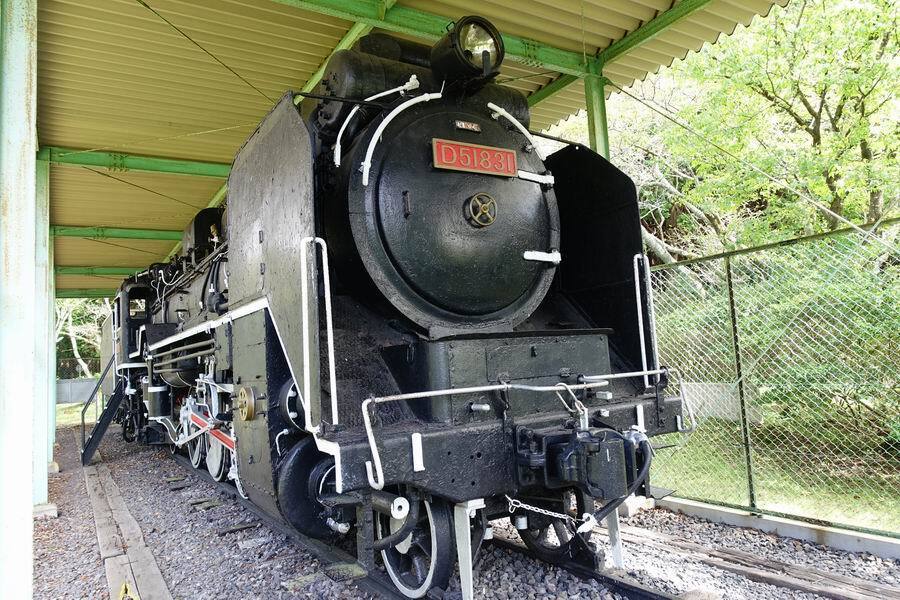 D51 831：伊賀町余野公園: コバQのデジカメ歩き