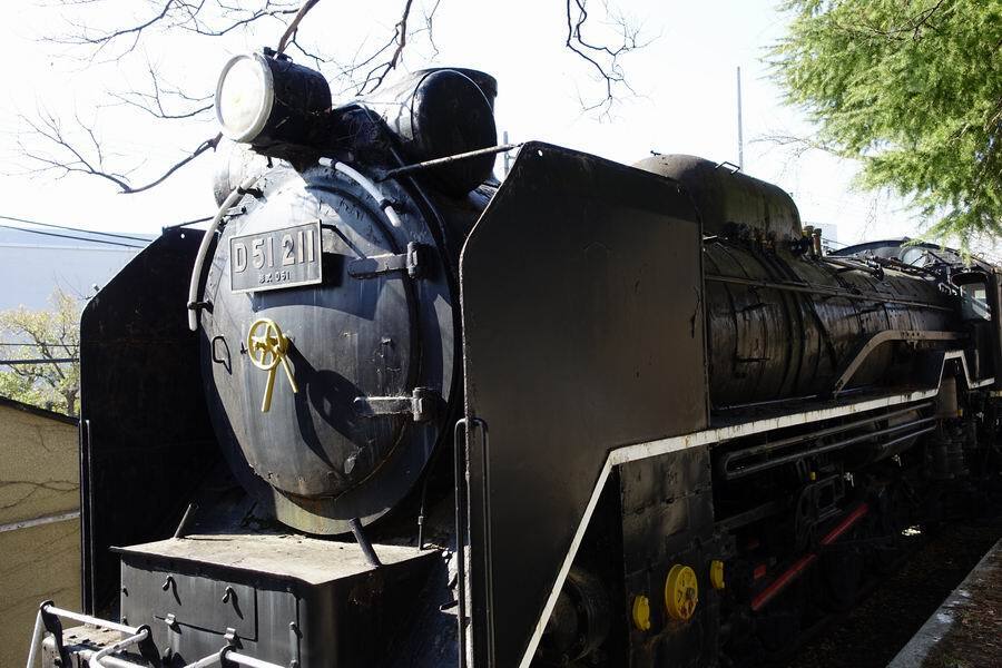 D51 211：神戸市立王子動物園: コバQのデジカメ歩き