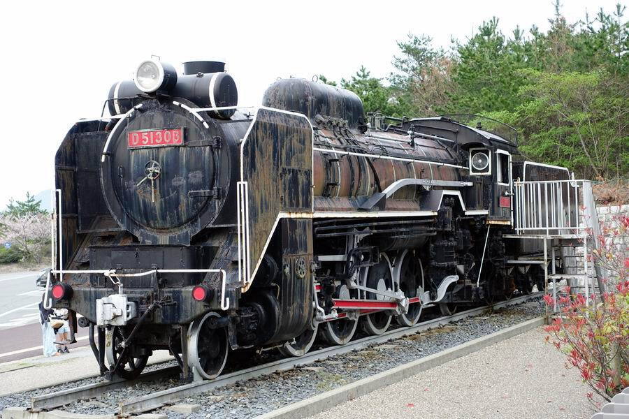 D51 303：鳥取砂丘こどもの国: コバQのデジカメ歩き