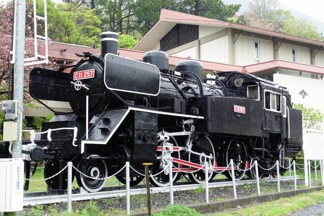 (2) コバQのデジカメ歩き