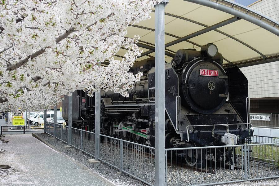 D51 917：岡山市下石井公園: コバQのデジカメ歩き