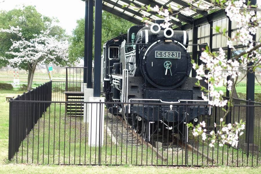 C58 231：上山市民公園: コバQのデジカメ歩き