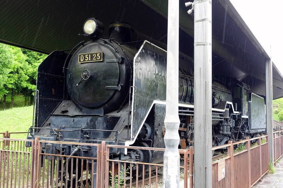 D51 25：三田市はじかみ池公園: コバQのデジカメ歩き