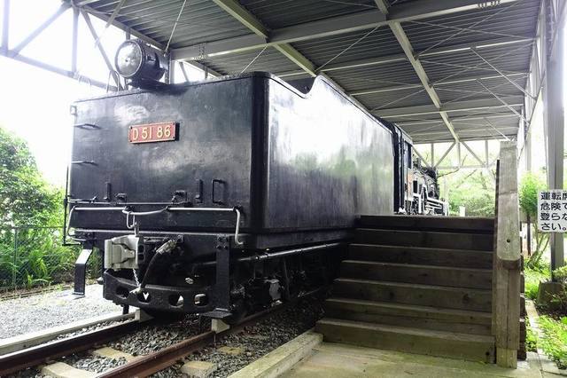 D51 86：はままつ フラワーパーク: コバQのデジカメ歩き