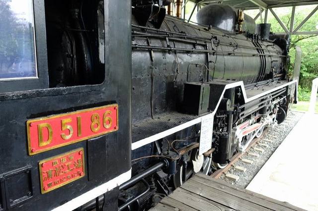 D51 86：はままつ フラワーパーク: コバQのデジカメ歩き