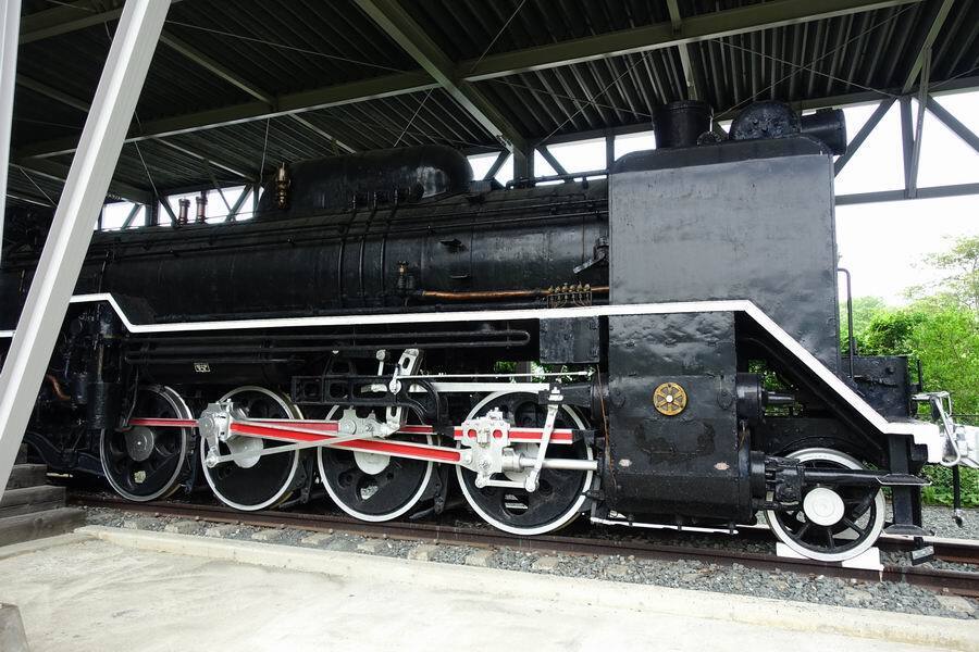 D51 86：はままつ フラワーパーク: コバQのデジカメ歩き