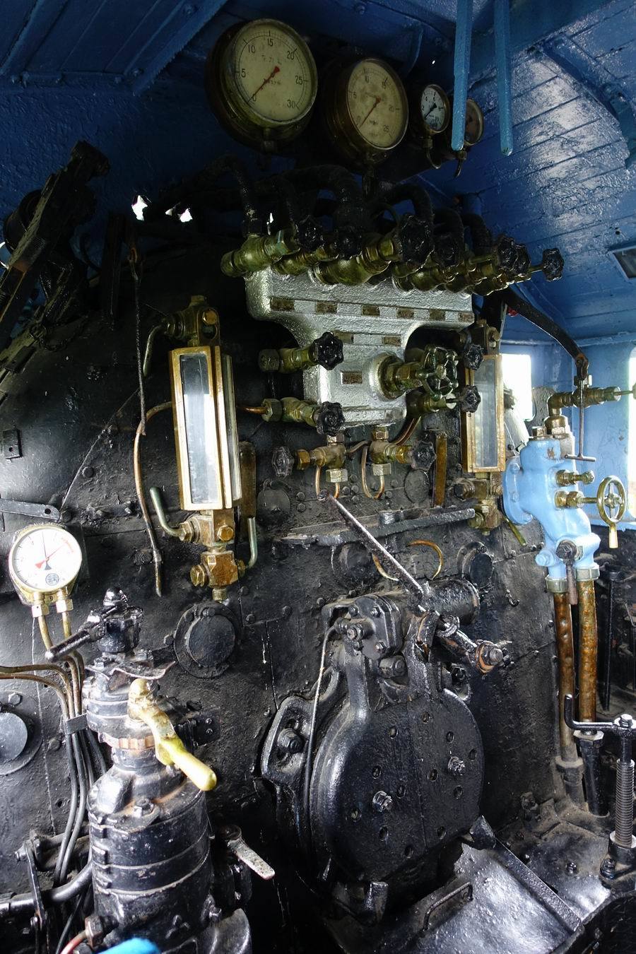 D51 86：はままつ フラワーパーク: コバQのデジカメ歩き